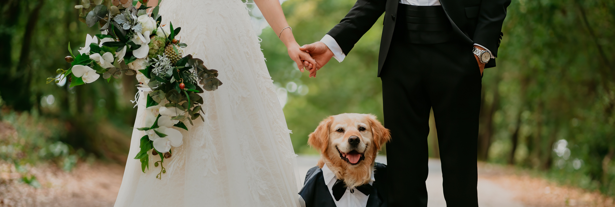 Personal Loans | Tech Credit Union | Indiana & Illinois